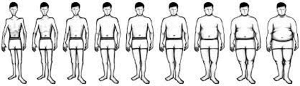 Assessing body image concerns - Morgan Psychology